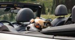 New MINI Vehicles for Sale | Dreyer & Reinbold