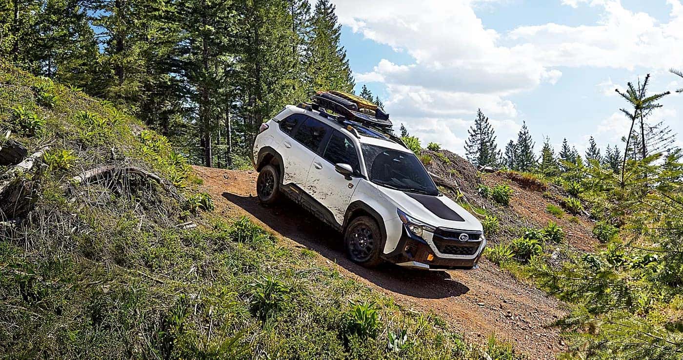Why the Subaru Forester Stands Out | Hello Auto Group