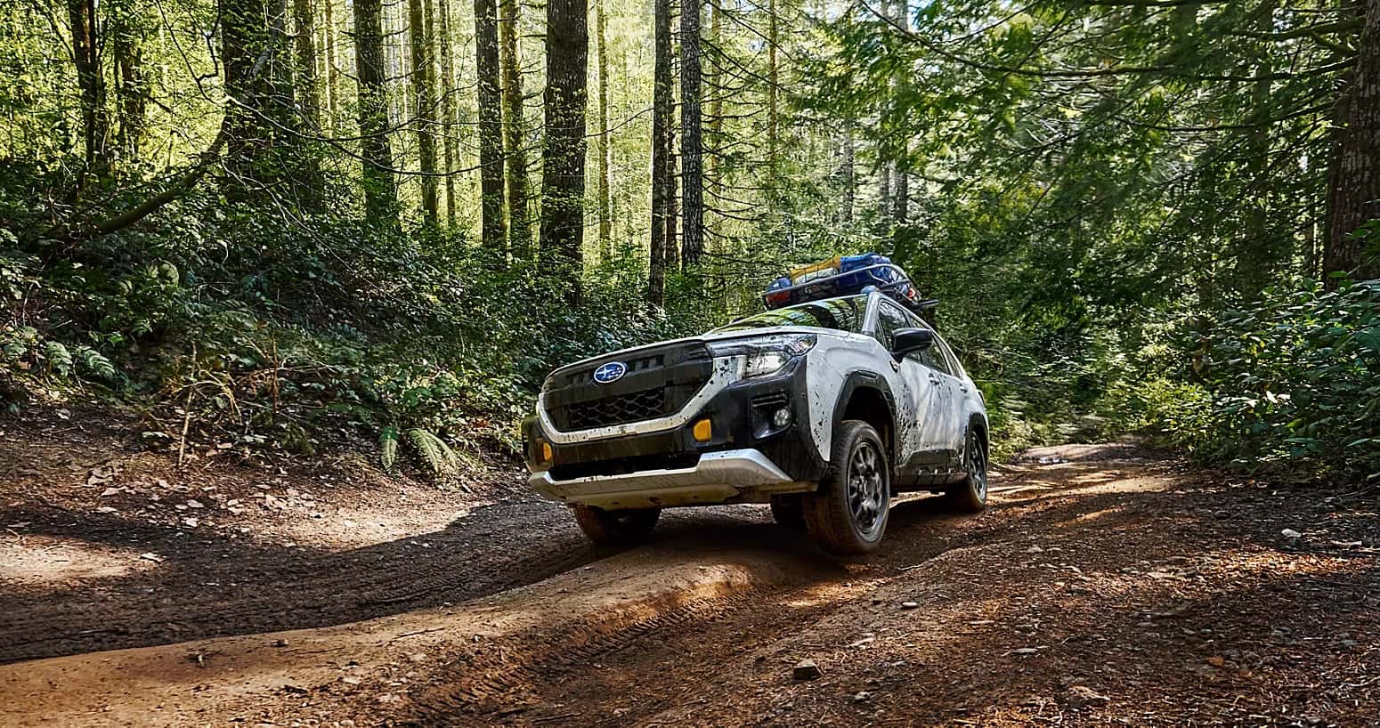 Forester Wilderness Edition Q&A | Hello Auto Group