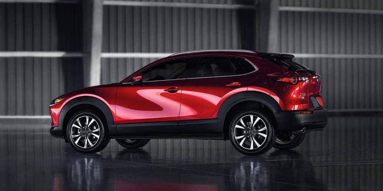 Mazda CX-5 or CX-30: Find Your Perfect SUV | Hello Mazda of Valencia
