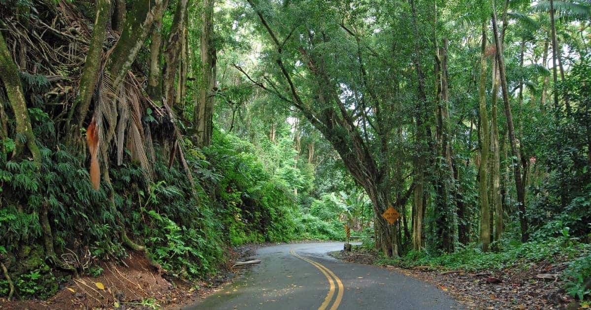 Off-Roading Trails Near Honolulu | Honolulu GMC